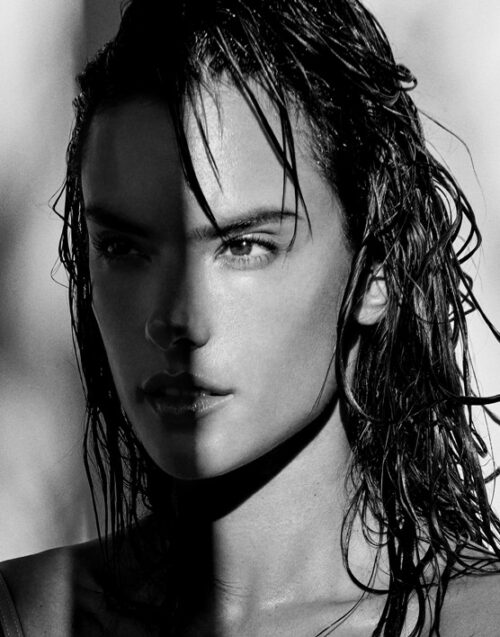 Accueil - Philippe Combes